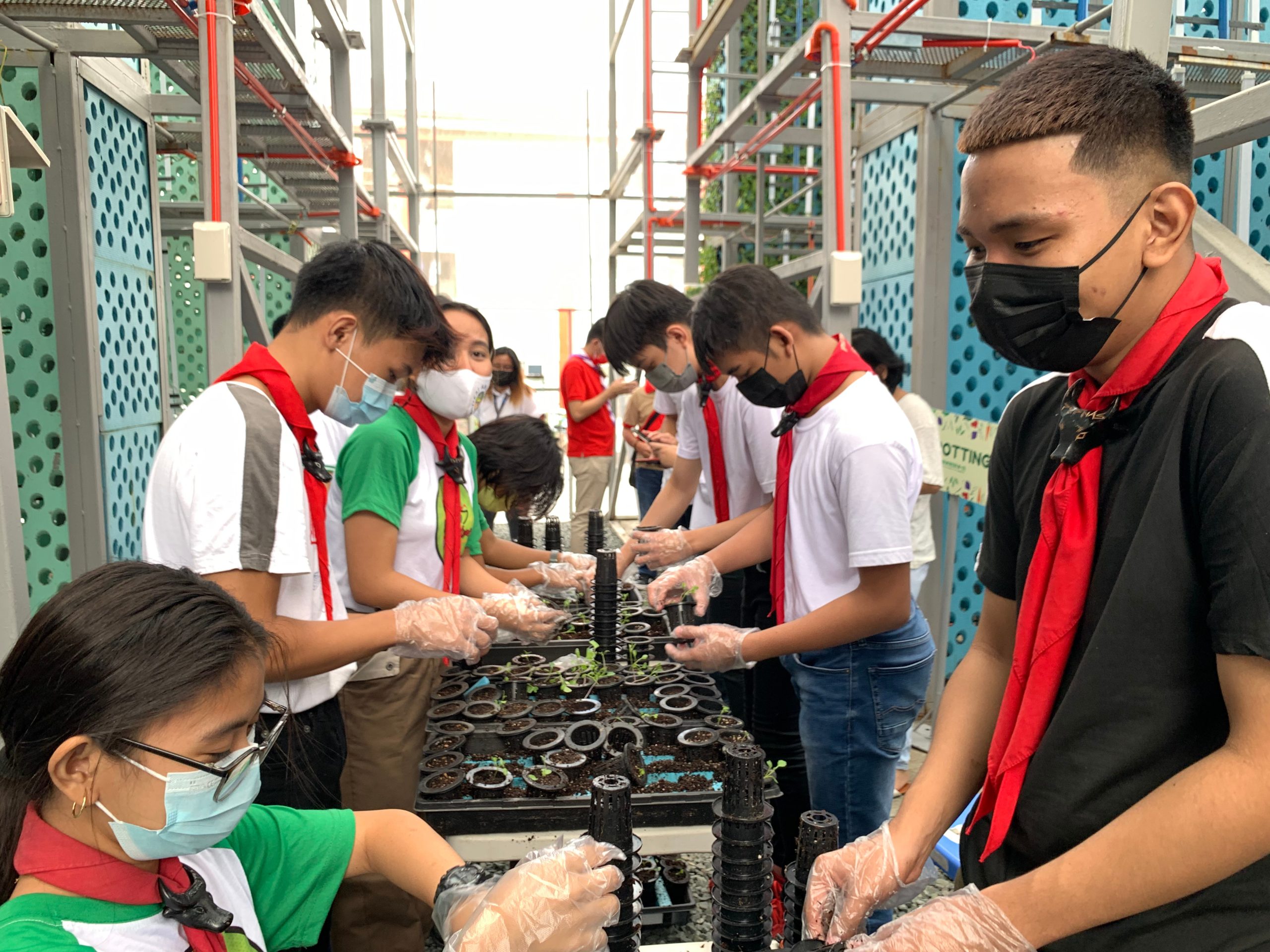 Vertical, urban Scout gardens! – 2022 Annual Report